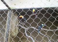 China SS304 7x7 Diamond Aviary Wire Mesh / 316 High Tensile Steel Wire Mesh for sale
