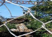 China 316 Stainless Steel Aviary Netting Flexible Bird For Animals In Zoo for sale