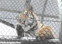 China Ss304 Flexible Zoo 150x150mm Stainless Steel Webnet To Monkey Tiger Cage for sale
