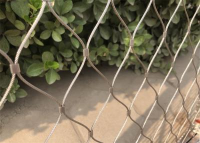 China Ss304L Plant Climbing Trellis 2.0mm Wire Supports For Climbing Plants 100x100mm for sale