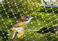 China 316 316L Stainless Steel Flexible Wire Mesh Netting 3.0mm For Bird Aviary for sale