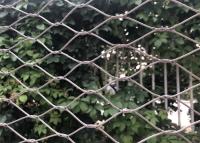 China SUS304 Stainless Steel Cable Trellis / Vertical Fence Wire For Climbing Plants 100mm for sale