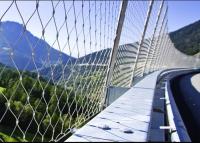 China 316L Wire Rope Trellis Tomato Growing Plant Stainless Steel Cable Netting for sale