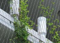 China Climber Plant Trellis 1.5mm Flexible Stainless Steel Cable Mesh Metal For Green Wall for sale