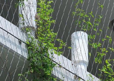 China Climber Plant Trellis 1.5mm Flexible Stainless Steel Cable Mesh Metal For Green Wall for sale
