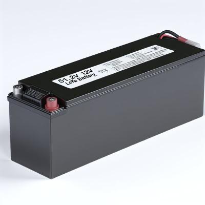 China 51.2V 12V LiFePO4 Battery Pack High Capacity and Performance for a Wide Range of Applications for sale