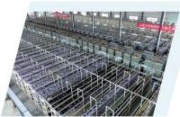 China safety lead acid car battery for sale