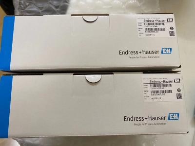 China Endress+Hauser CLS21-C1E4A | 2-Electrode Conductivity Sensor, k=1, G1