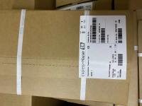 China Endress+Hauser DK9CM-7 Straight Thermowell G1/2 PN40 100mm Immersion 316L SS for sale
