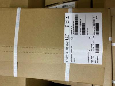 China Endress+Hauser DK9CM-7 Straight Thermowell G1/2 PN40 100mm Immersion 316L SS for sale