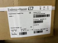 China Endress+Hauser DK9CM-7 Straight Thermowell G1/2 PN40 100mm Immersion 316L SS for sale