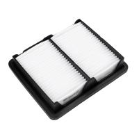 China MASUMA NO. MFA-N215 Auto Air Filter 16546-EJ70A 4560116765881 AY120-NS054 For INFINITI for sale