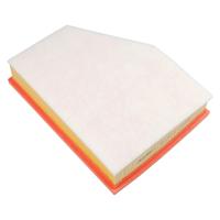 China Air Filter 13718577170 for BMW MASUMA Auto Vehicles Accessories 13718691835 4560116493739 for sale