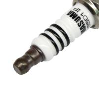 China S501IP MASUMA Auto Engine Systems Iridium Platinum Spark Plug 12622561 4560116440283 for FORD for sale
