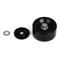China OE NO. 11925-JA100 Idler Pulley Belt for NISSAN ELGRAND MIP-2002 MASUMA Accessory for sale