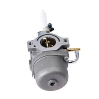China Snowploughs Generator Carburettor Assembly 796122 794593 20A414 20M114 for sale