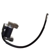 China Gasoline Generator Ignition Coil BS Twin Cylinder Maintenance Parts for sale