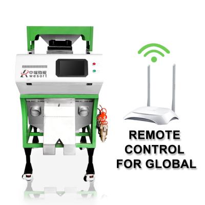 China food & Beverage Factory HD Camera Color Sorter Led Lights CCD Salt Coffee Bean Color Sorting Machine for sale