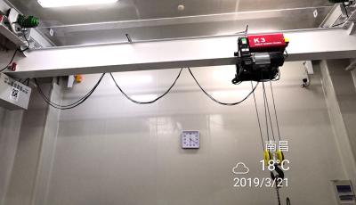 China 1000KG Capacity Pharma Clean Room Cranes IP54 Protection Grade for sale