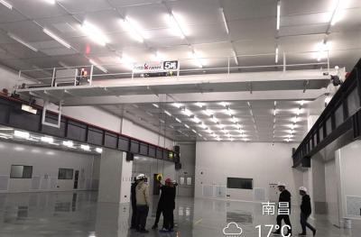 China Material Handling Dustproof Cleanroom Crane With Safety Overload Protection for sale