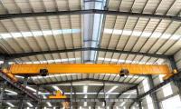 China High Efficiency Single Girder Overhead Crane For Manufacturing Plants for sale