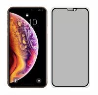 China Cephacoria 2.5D 9H Glass For iPhone 12 Pro Max Privacy Anti-Spy Screen Protector Film for sale