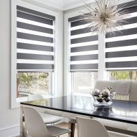 China Indoor Motorized Horizontal Structure Polyester Zebra Roller Blinds for End Windows for sale