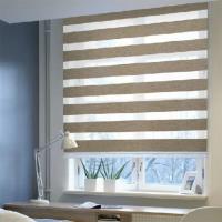 China Indoor Office Window Zebra Roller Blinds for Day and Night Manual Open Type Function for sale