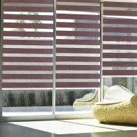 China Living Room Customized Polyester Blackout Motorized Zebra Roller Blinds for Household for sale