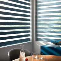 China Contemporary Design Style Motorized Blackout Polyester Zebra Blinds for Indoor/Outdoor for sale