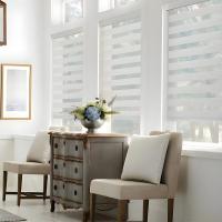 China Custom Size Electric Smart Zebra Shading Dustproof Function Window Polyester Blinds for sale
