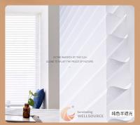 China WELLSOURCE Manual 2