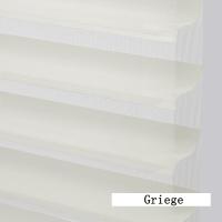 China WELLSOURCE Manual 2