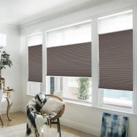 China WELLSOURCE Manual Cordless Day and Night Cellular Shades Non Blackout Light Filtering Honeycomb Fabric for Home, Office, for sale