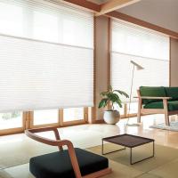China WELLSOURCE Manual Cordless Day and Night Cellular Shades Non Blackout Light Filtering Honeycomb Fabric for Home, Office, for sale