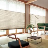 China WELLSOURCE Manual Cordless Day and Night Cellular Shades Non Blackout Light Filtering Honeycomb Fabric for Home, Office, for sale