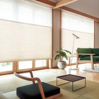 China WELLSOURCE Manual Cordless Day and Night Cellular Shades Non Blackout Light Filtering Honeycomb Fabric for Home, Office, for sale