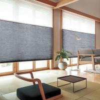 China WELLSOURCE Manual Cordless Day and Night Cellular Shades Non Blackout Light Filtering Honeycomb Fabric for Home, Office, for sale