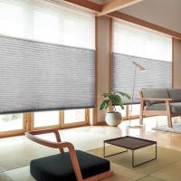 China WELLSOURCE Manual Cordless Day and Night Cellular Shades Non Blackout Light Filtering Honeycomb Fabric for Home, Office, for sale