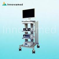China 1920x1200 Medical Full Hd Ent Endoscope Tower System With Camera And Led Light for sale