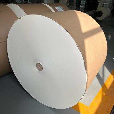 China Biodegradable PLA Coated Paper Roll 150 - 350 Gsm For Food Packaging Solutions for sale