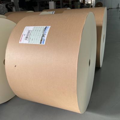 China Single PE coated Paper Roll for food packaging paper cups with waterproof for sale
