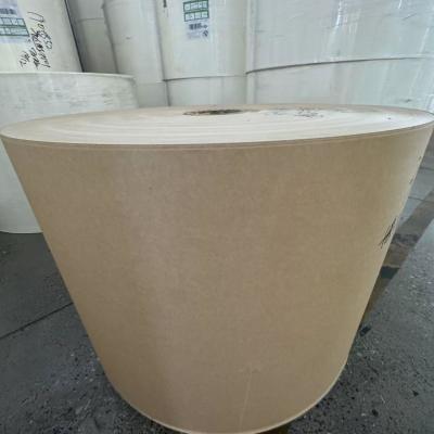 China PE Coated Kraft Paper Cup Roll For Food Container Salad Box for sale