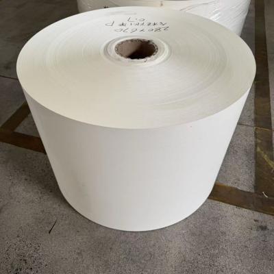 China PE Coated Paper Roll Cupstock for food and beverage packaging for sale