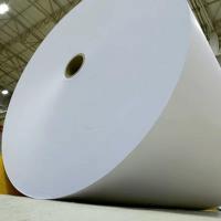 China Waterproof and Greaseproof PE Coated Paper Roll for Food Packaging Solutions for sale