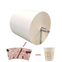 China Polyethylene Coated Paper greaseproof paper roll for paper cups for sale