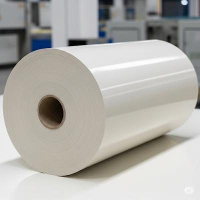 China High-Temperature Resistant PLA Coated Paper Roll for Food Packaging Solutions for sale