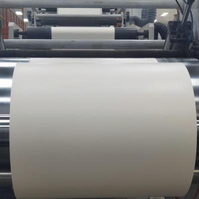 China Eco-Friendly PLA Coated Paper Roll for Food Packaging Solutions for sale