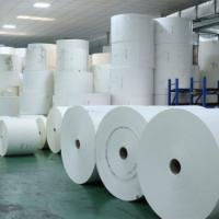 China Custom Offect Flexographic Printing 100% Biodegradable PLA Coated Paper Cup Roll for sale
