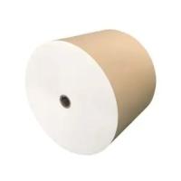 China Disposable Food Grade Raw Material Paper Rolls 100% Wood Pulp Paper for sale